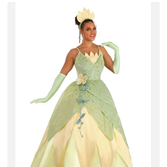 Other | Princess Tiana Full Plus Size Costume | Poshmark